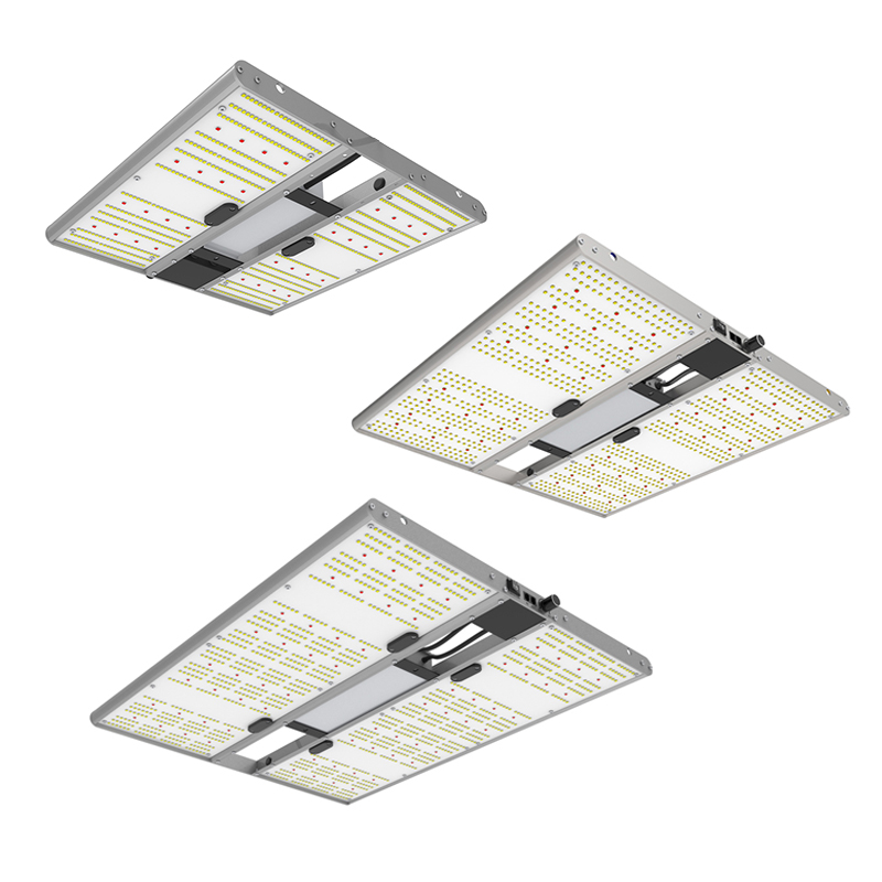 ORTOLED - QUANTUM BOARD EVO SAMSUNG (2.7 umol/J), Ortoled